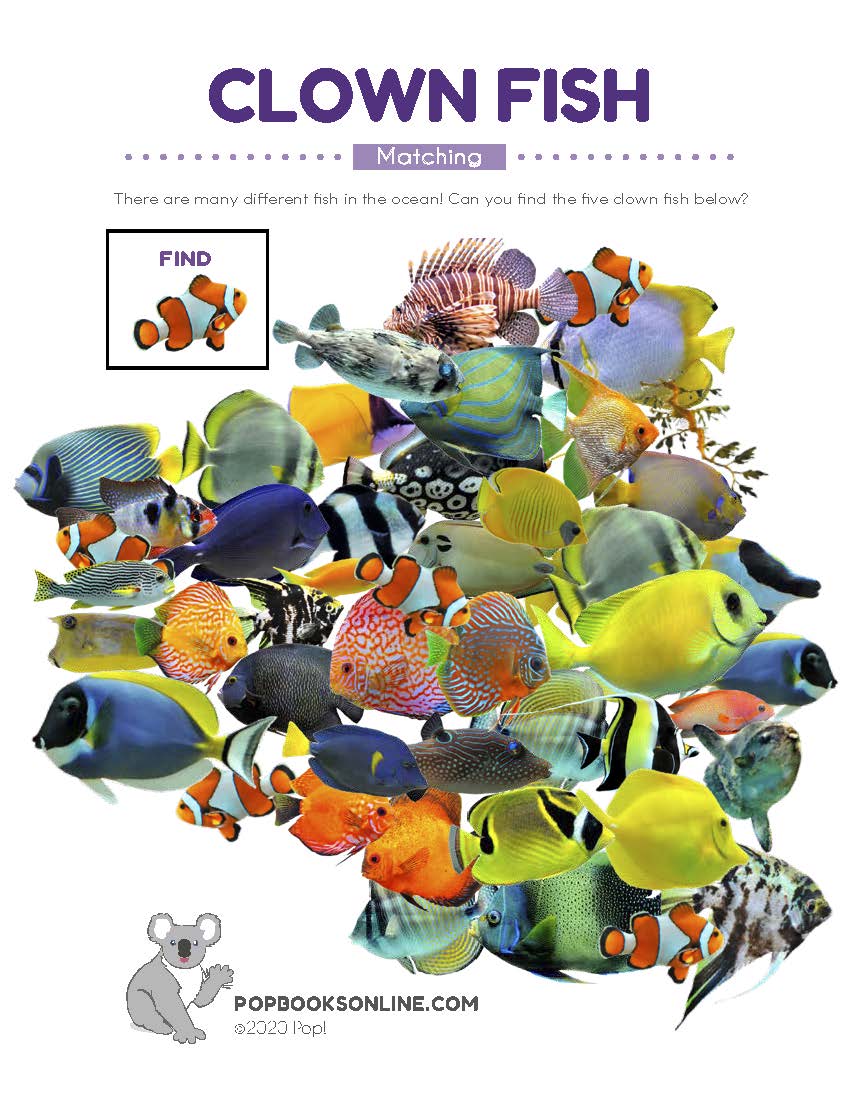 Clown Fish - Pop! Books Online
