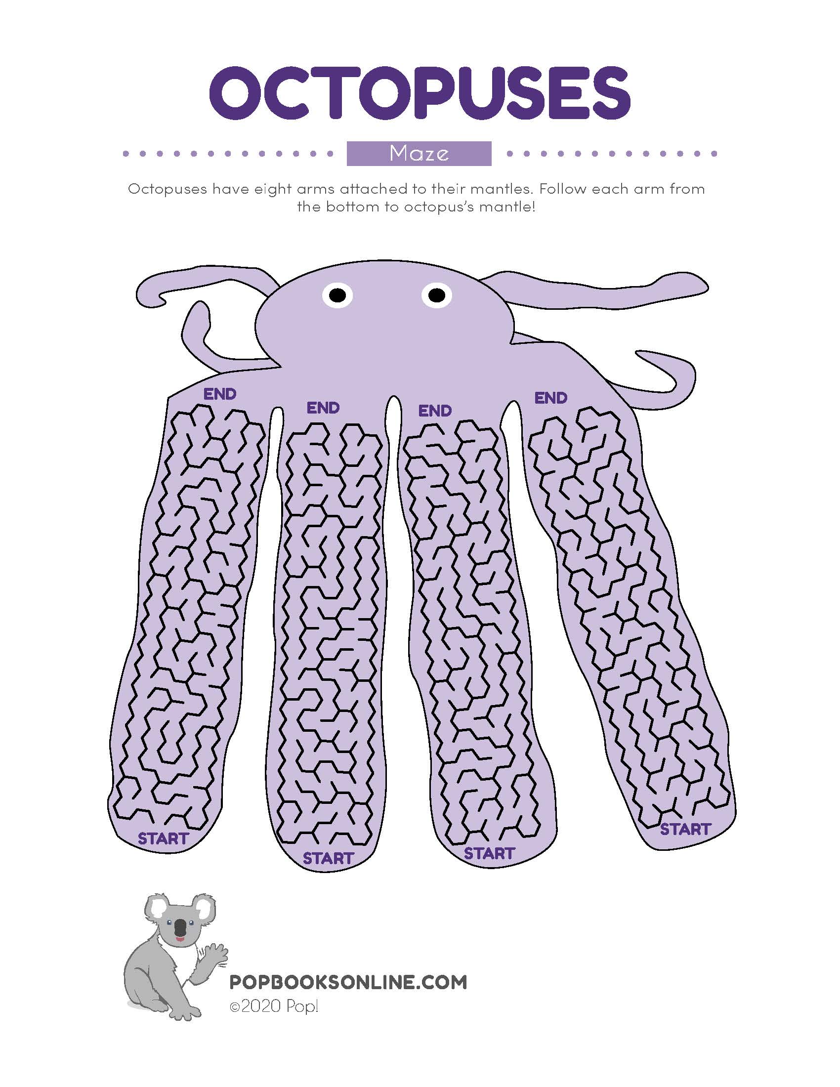 Octopuses - Pop! Books Online
